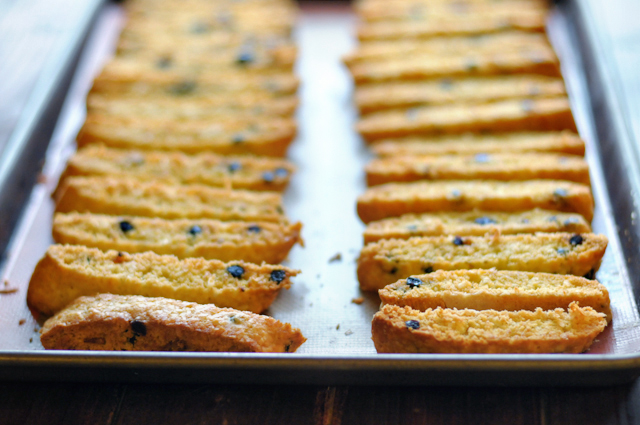 Blueberry Coconut Biscotti